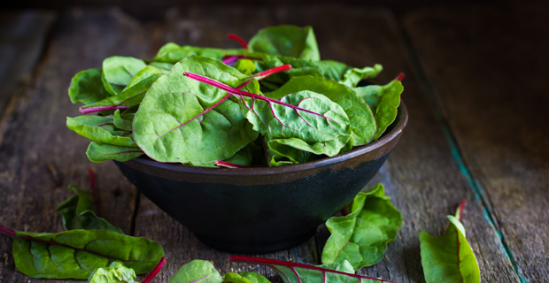 Mangold Rezepte | GuteKueche.at